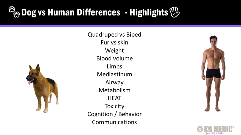 Anatomy Intro – K9 MEDIC
